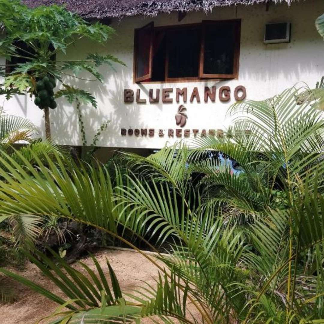 Blue Mango - Grandson Travel and Tours